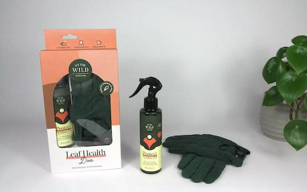 Leaf Health Duo - Mordialloc Florist